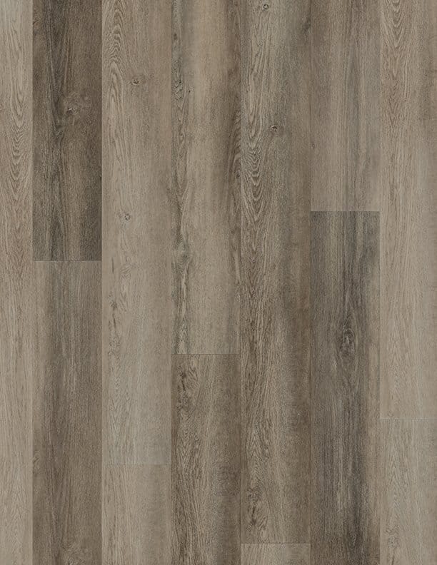 COREtec Plus Premium - Leisure Oak VV457-02902 - Luxury Vinyl Plank ...