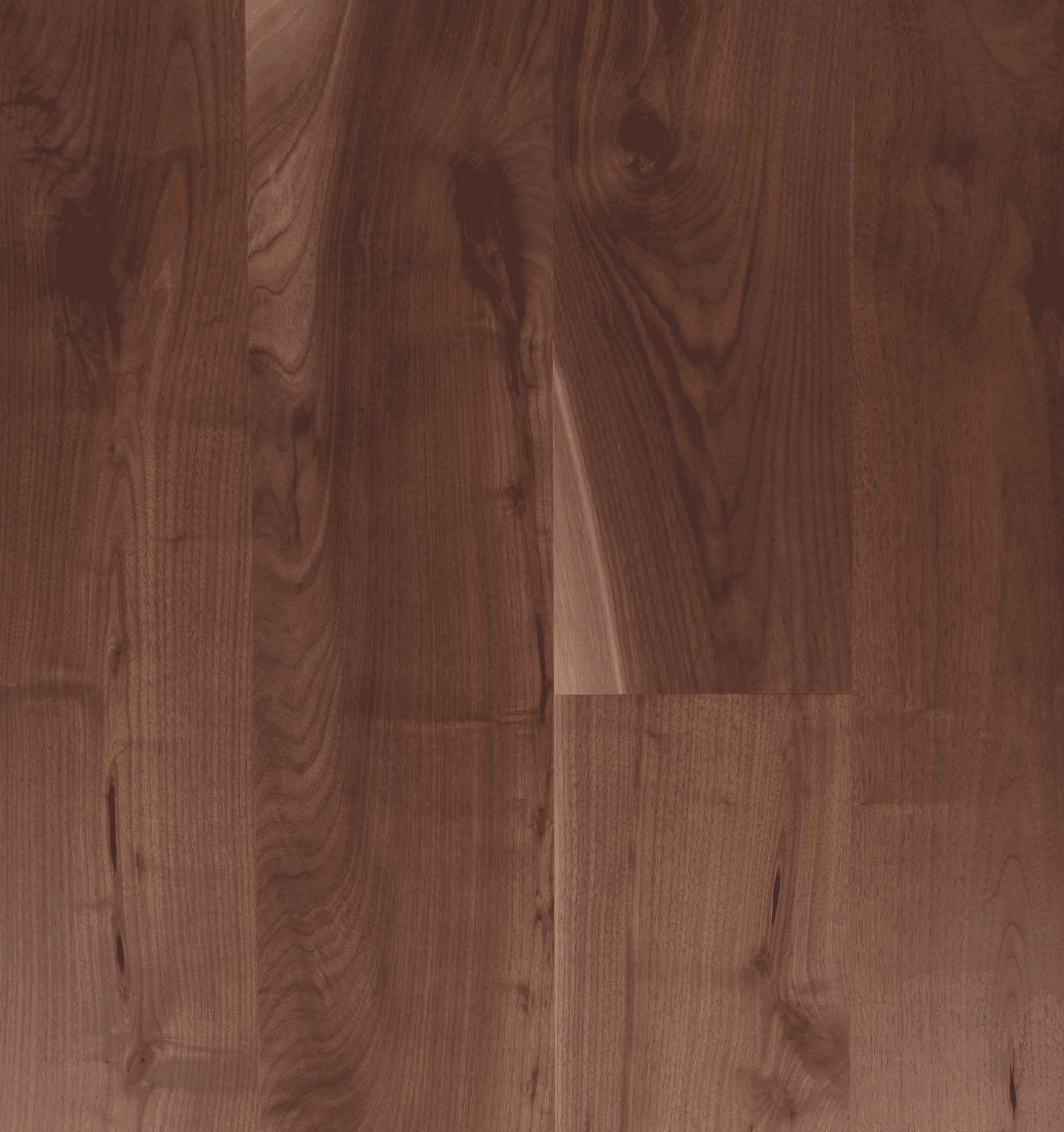 Popular Hardwood Floor Colors in 2024 - Panel Town & Floors